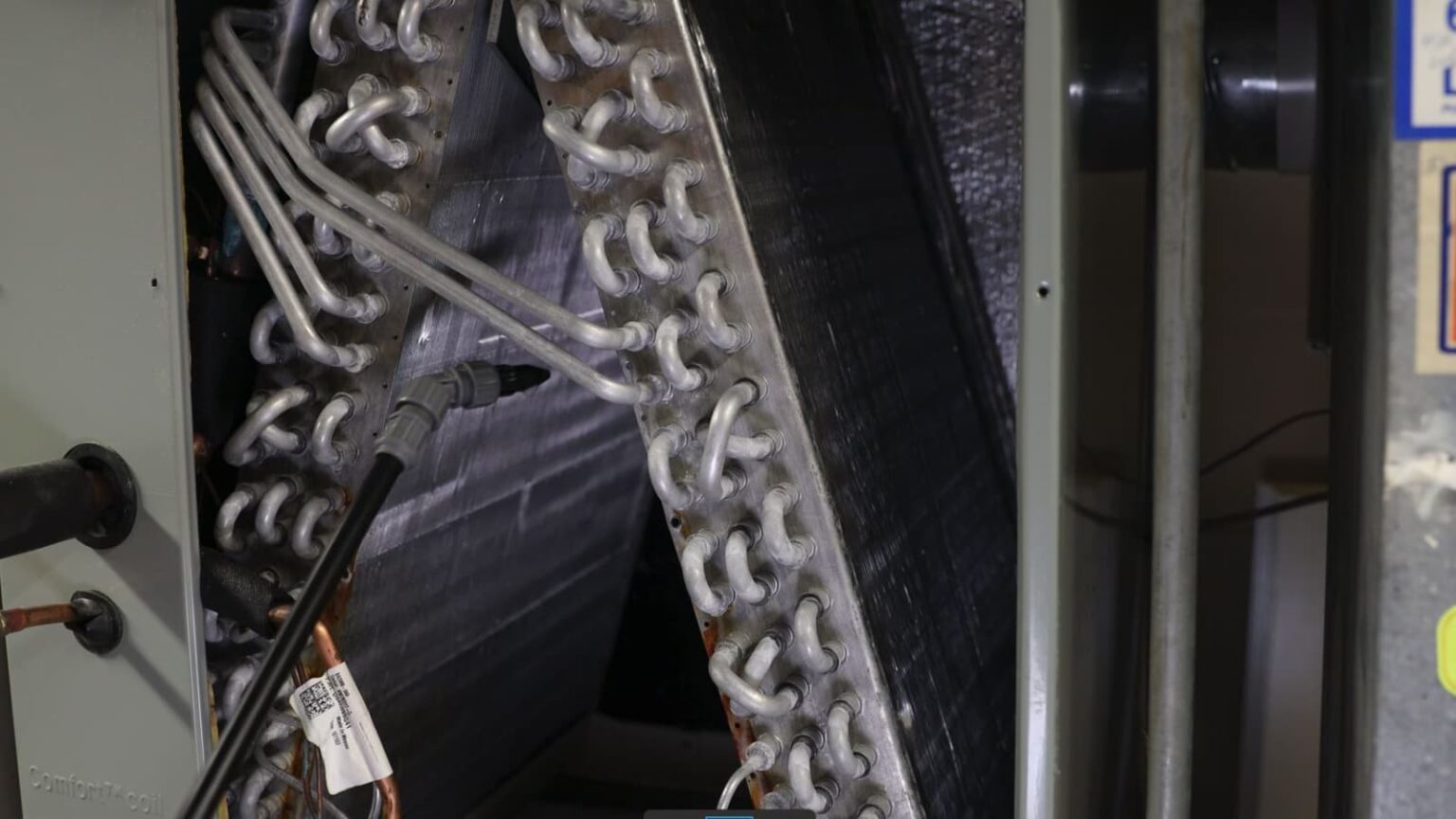 Decon 7 DISINFECTANT & SANITIZER